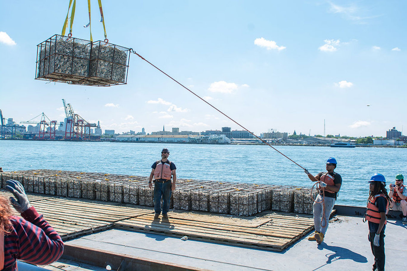 Students work with scientists to clean New York Harbor using oysters