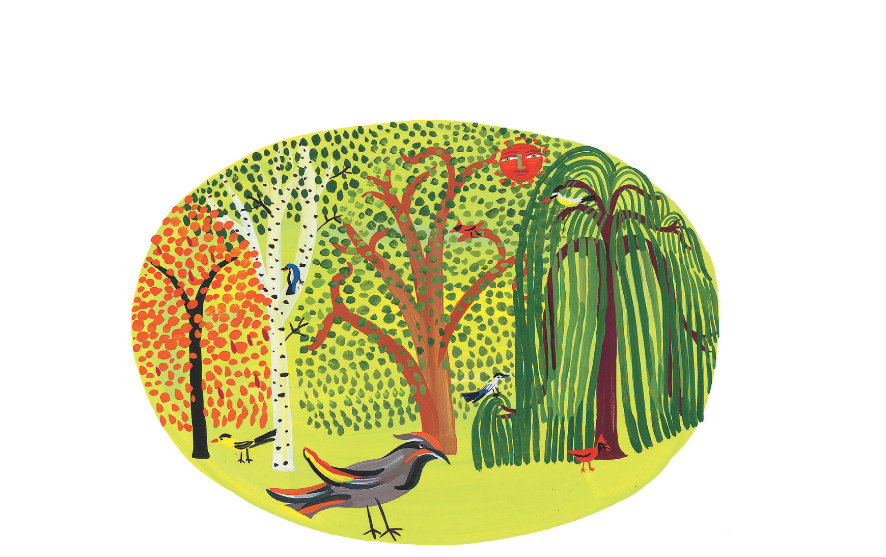 Why the Evergreens Keep their Leaves