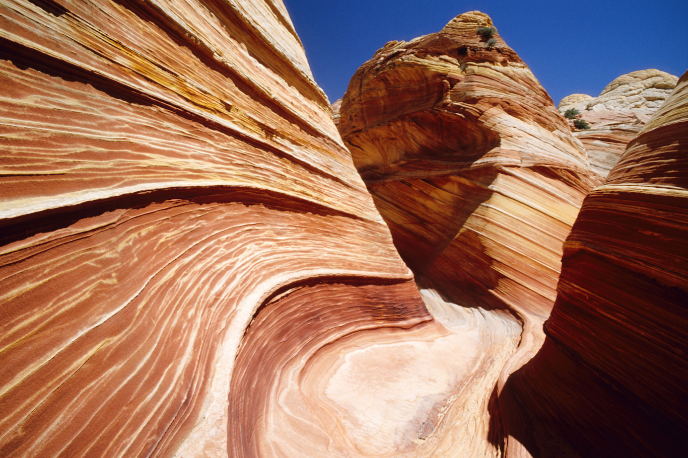 Overview: Erosion and weathering