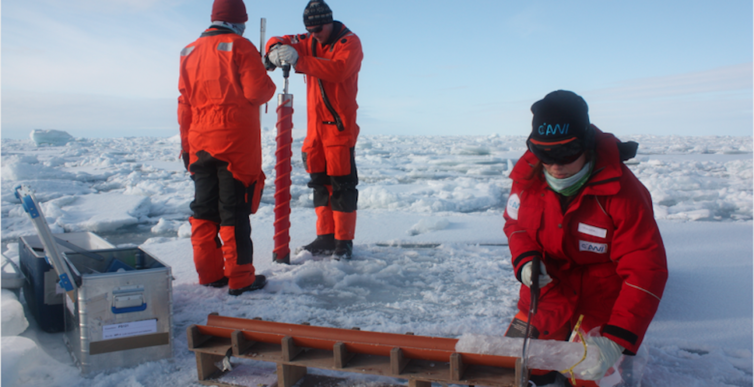Team of 600 scientists travel to the Arctic for a year to study its climate