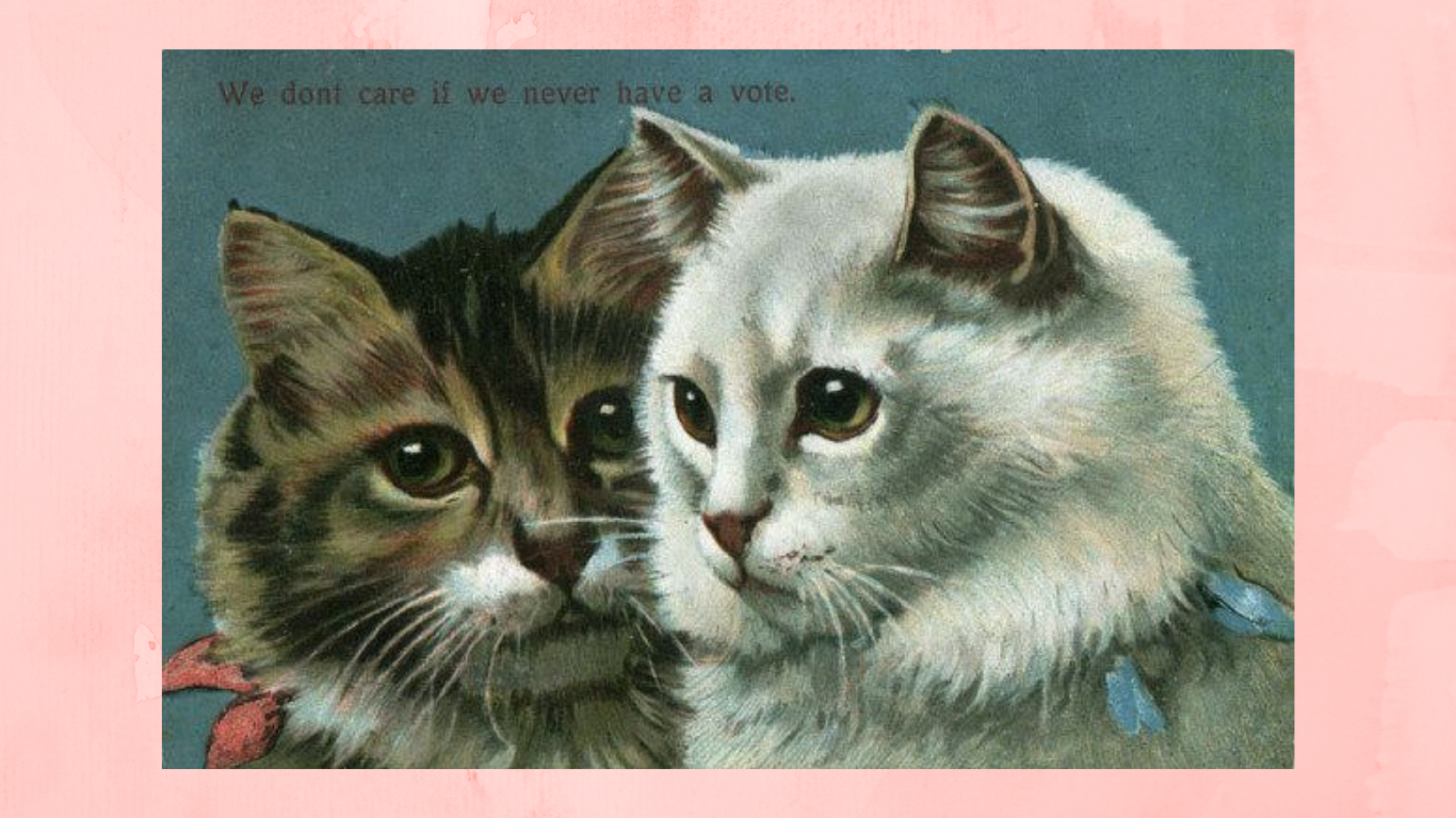 Women's suffrage and the cat
