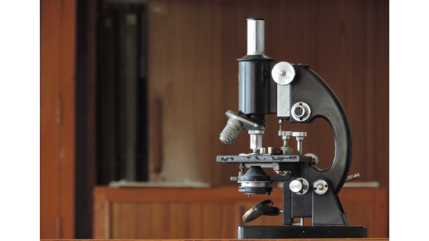 Using simple and compound microscopes