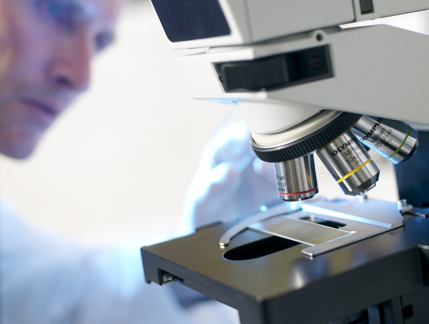 Experiment: Investigating cells: Multicellular and unicellular organisms