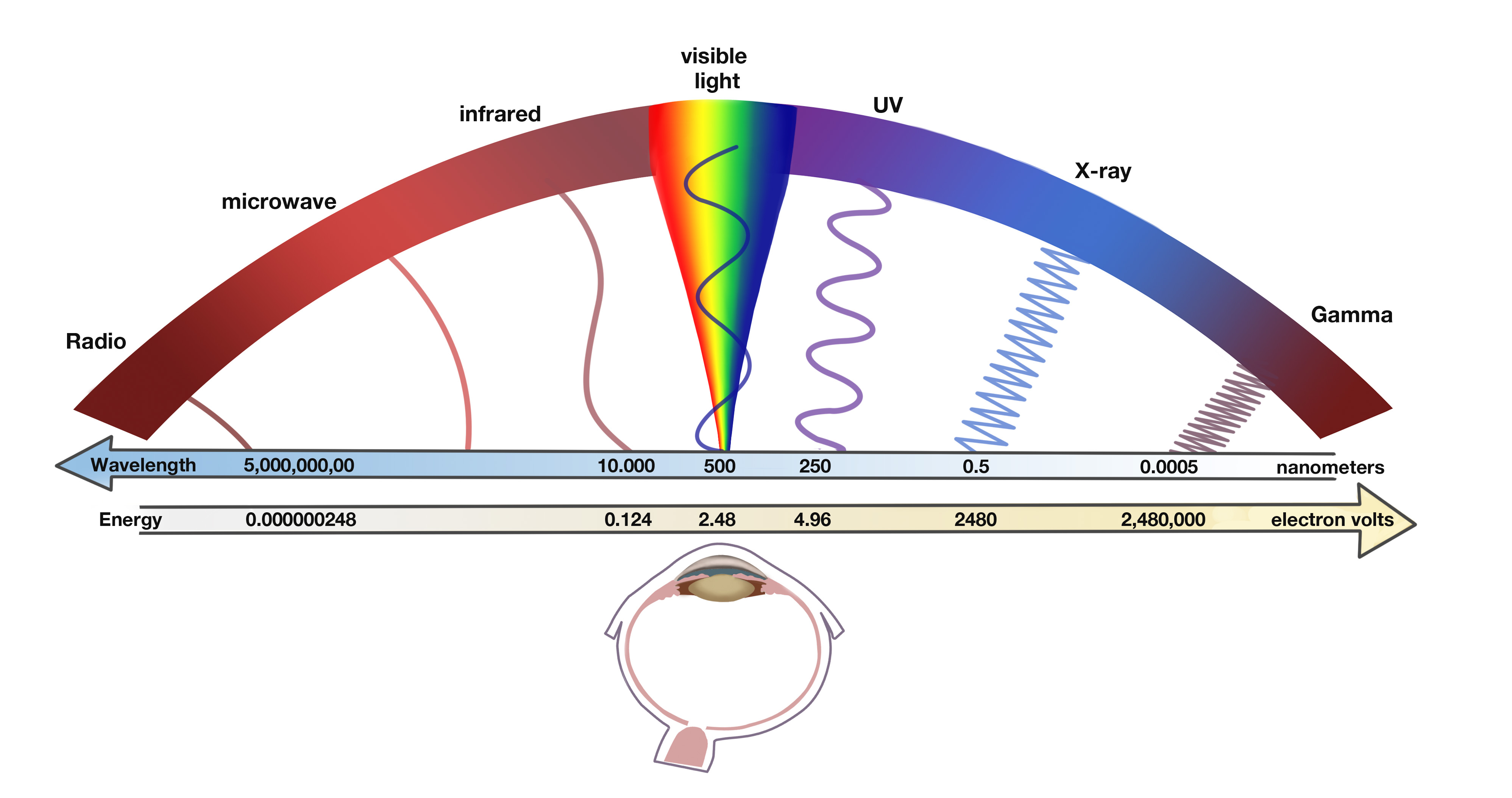 What is the visible light spectrum?