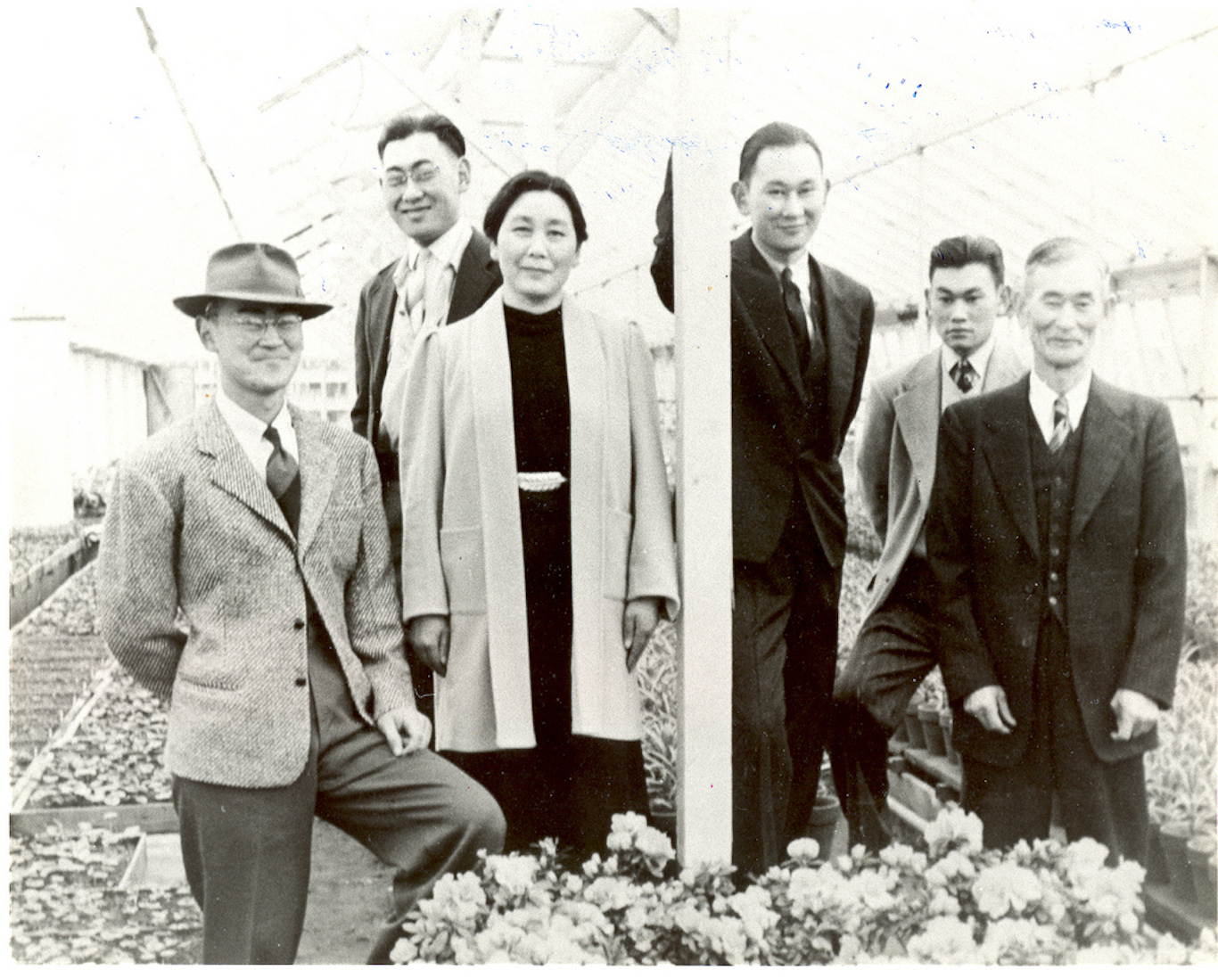 Primary Sources: Korematsu v. United States (1944)