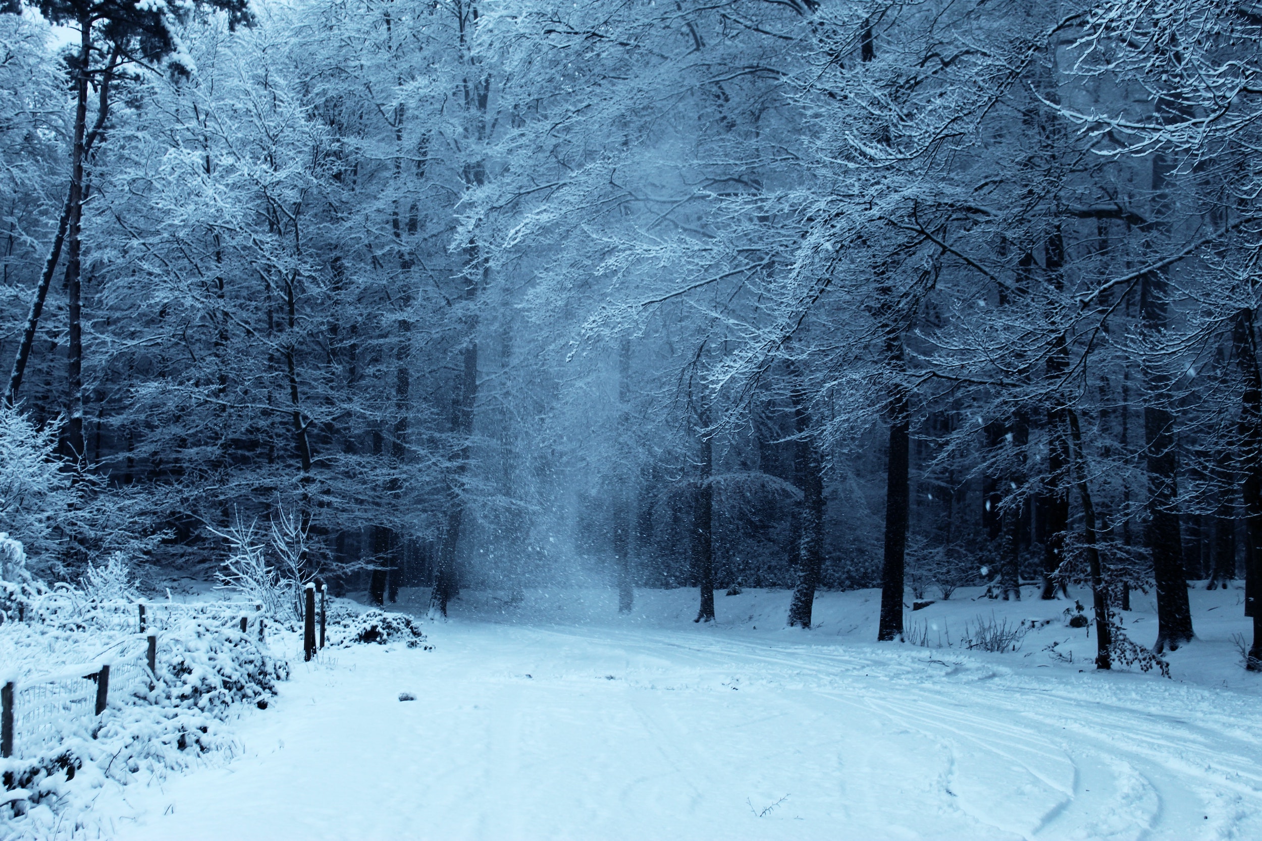 "Stopping By Woods On Snowy Evening": A poem by Robert Frost
