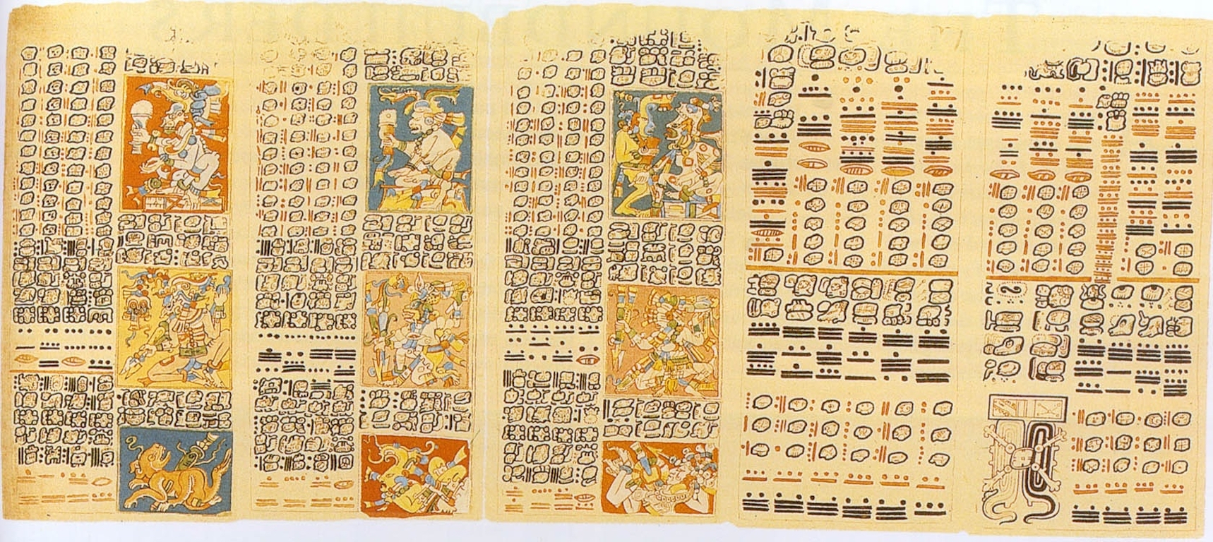 Primary Source: Dresden Codex redrawing by Humboldt in 1810