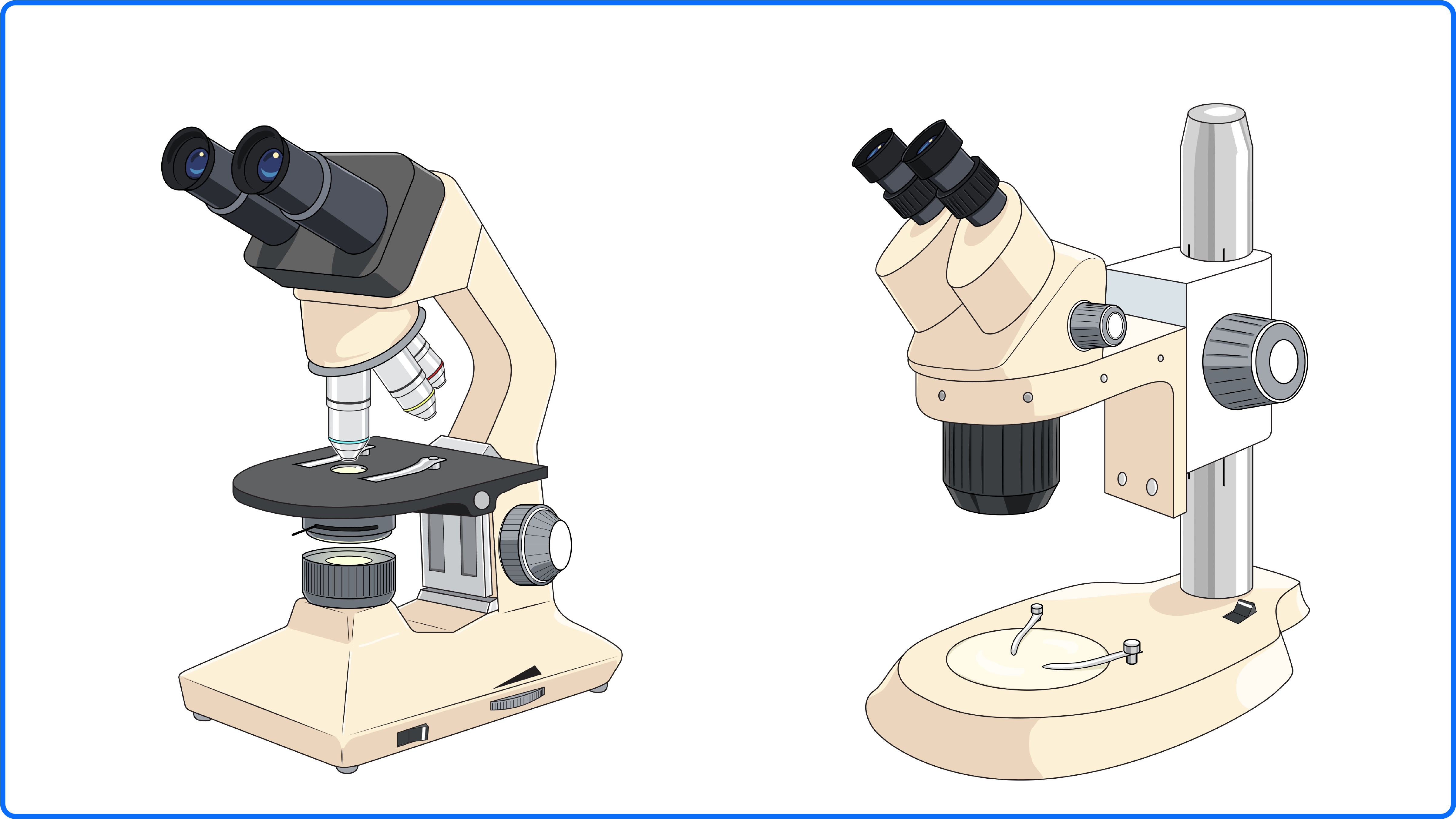 All about microscopes