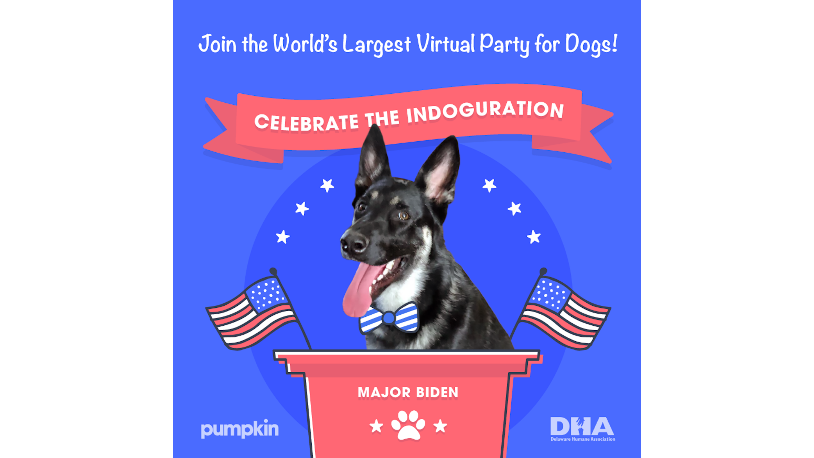 Joe Biden's dog Major honored at "Indoguration" celebration