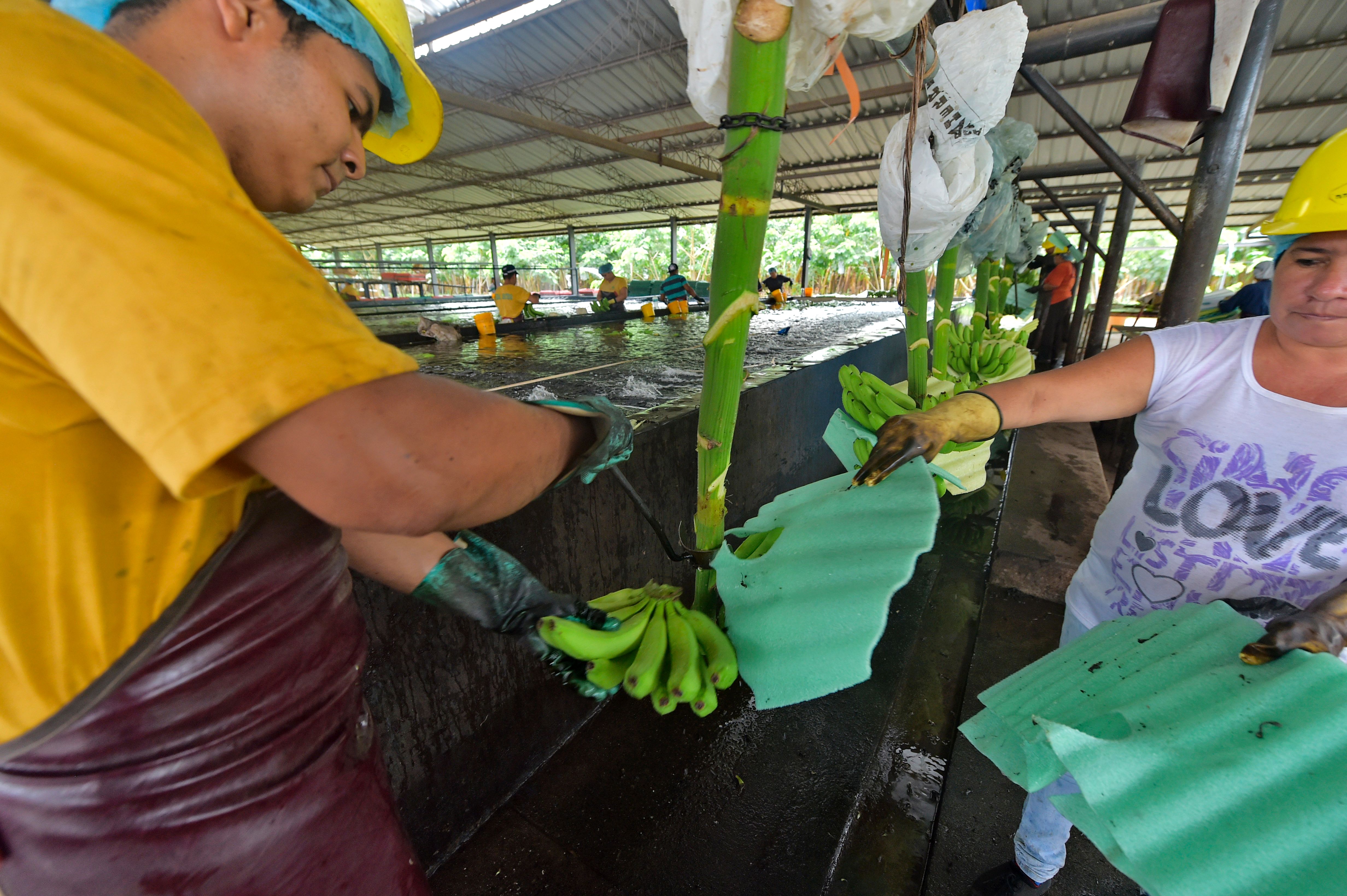 Absolute and Comparative Advantage