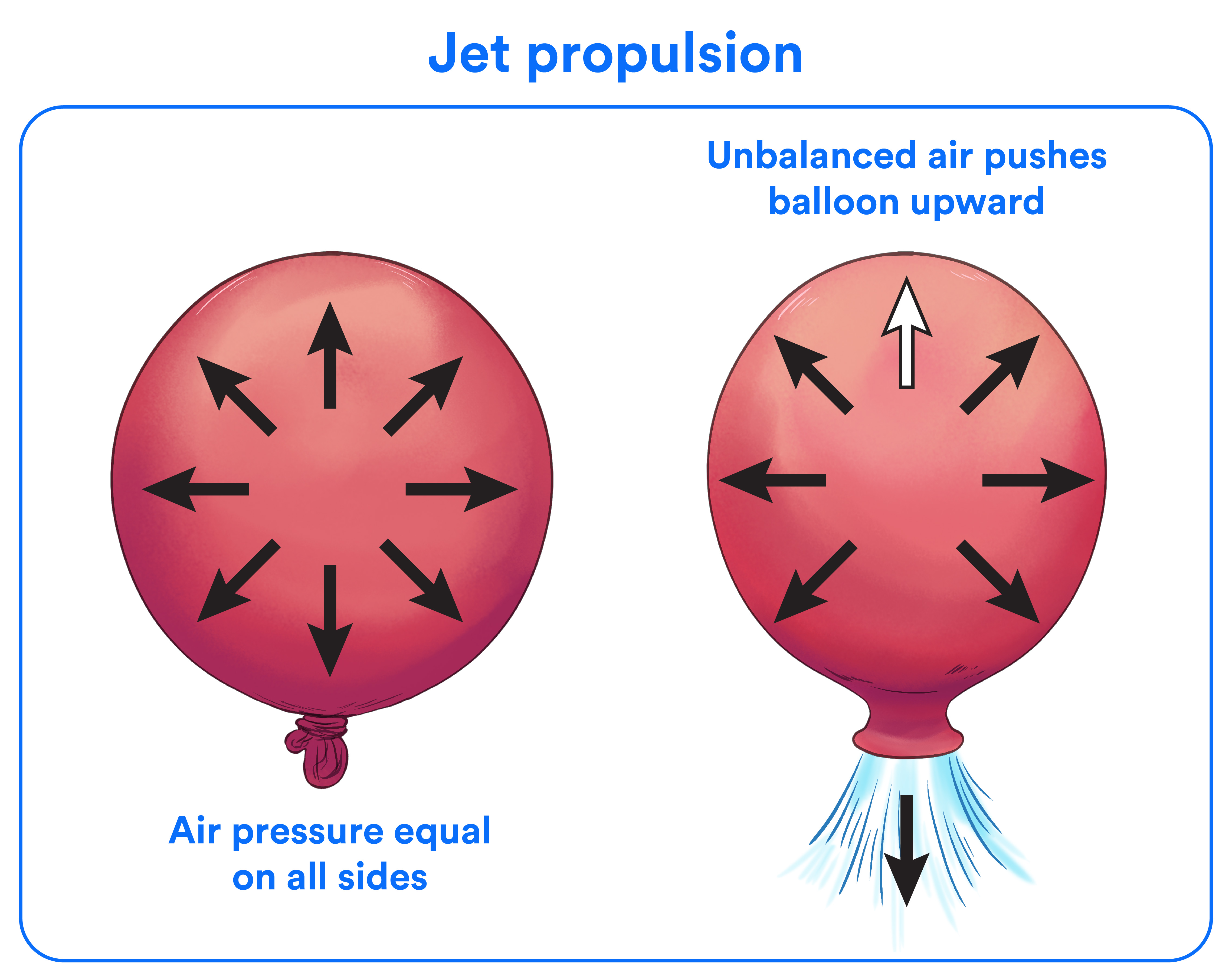 Newsela | Butterflies use jet propulsion for quick getaways